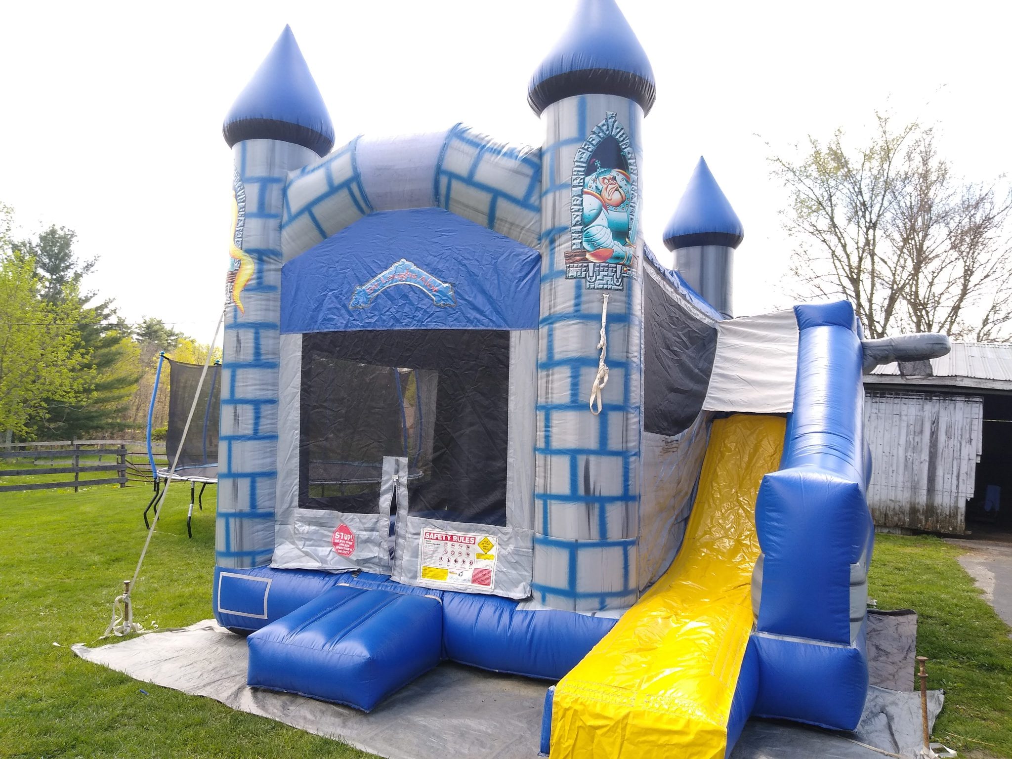 Leap'n Lizards Bounce Houses – Inflatable Rentals In Northern KY