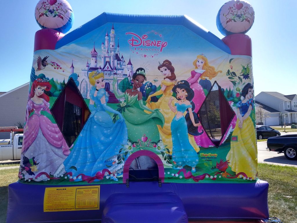 Bounce House/Slide Combo Inflatables For Northern Kentucky – Leap'n ...