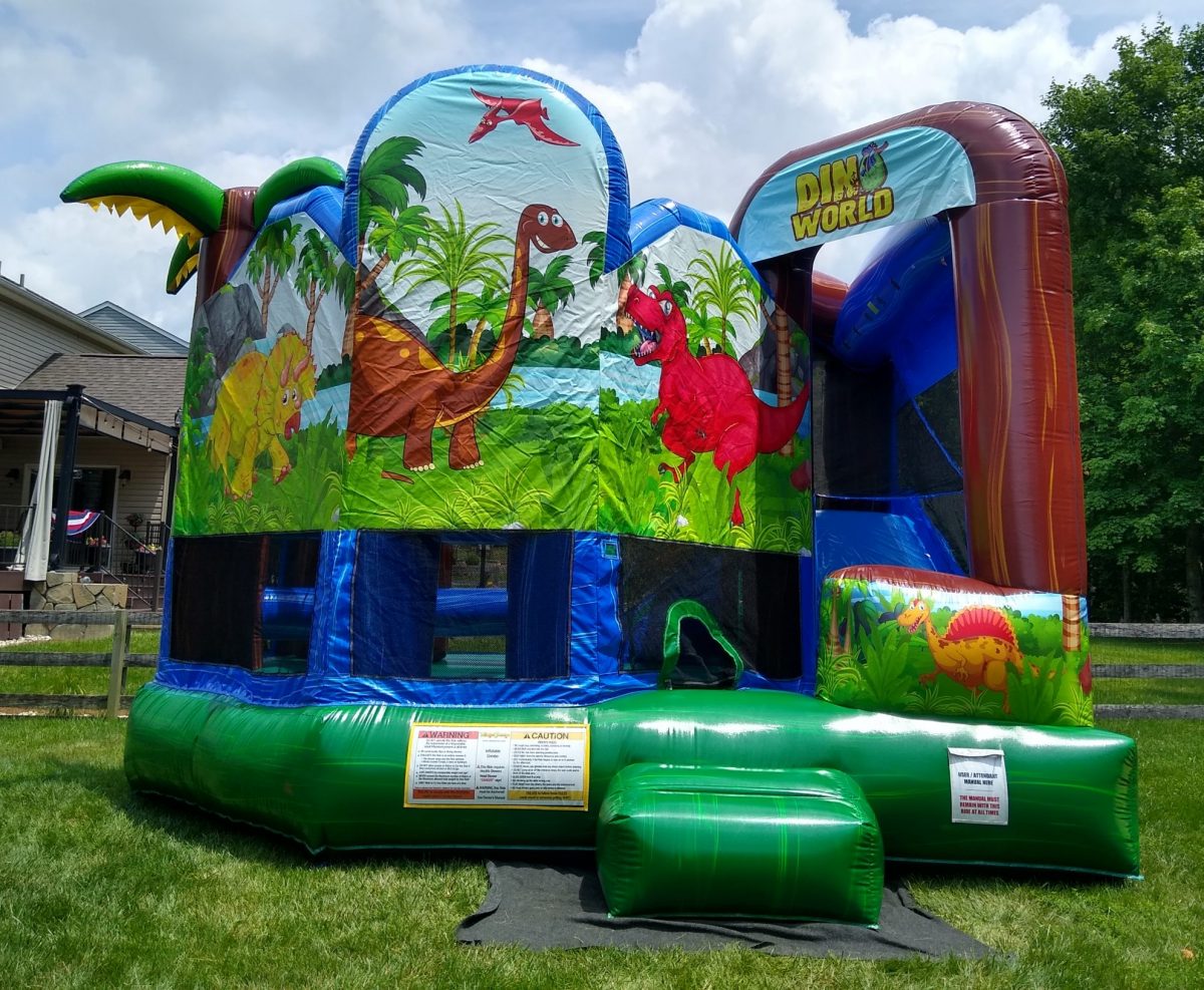 Bounce House/Slide Combo Inflatables For Northern Kentucky – Leap'n ...