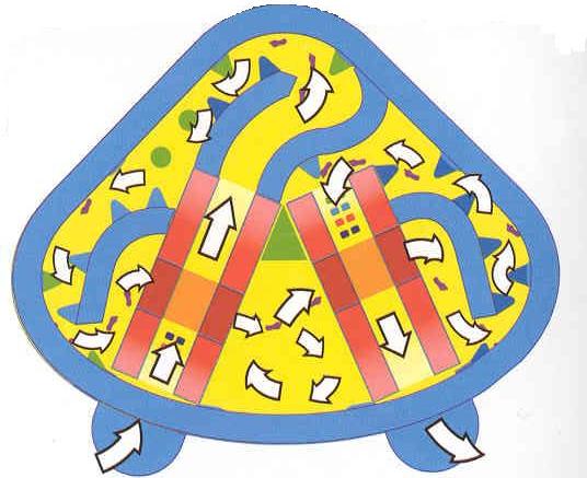 Multi-Theme Fun Center – Leap'n Lizards Bounce Houses