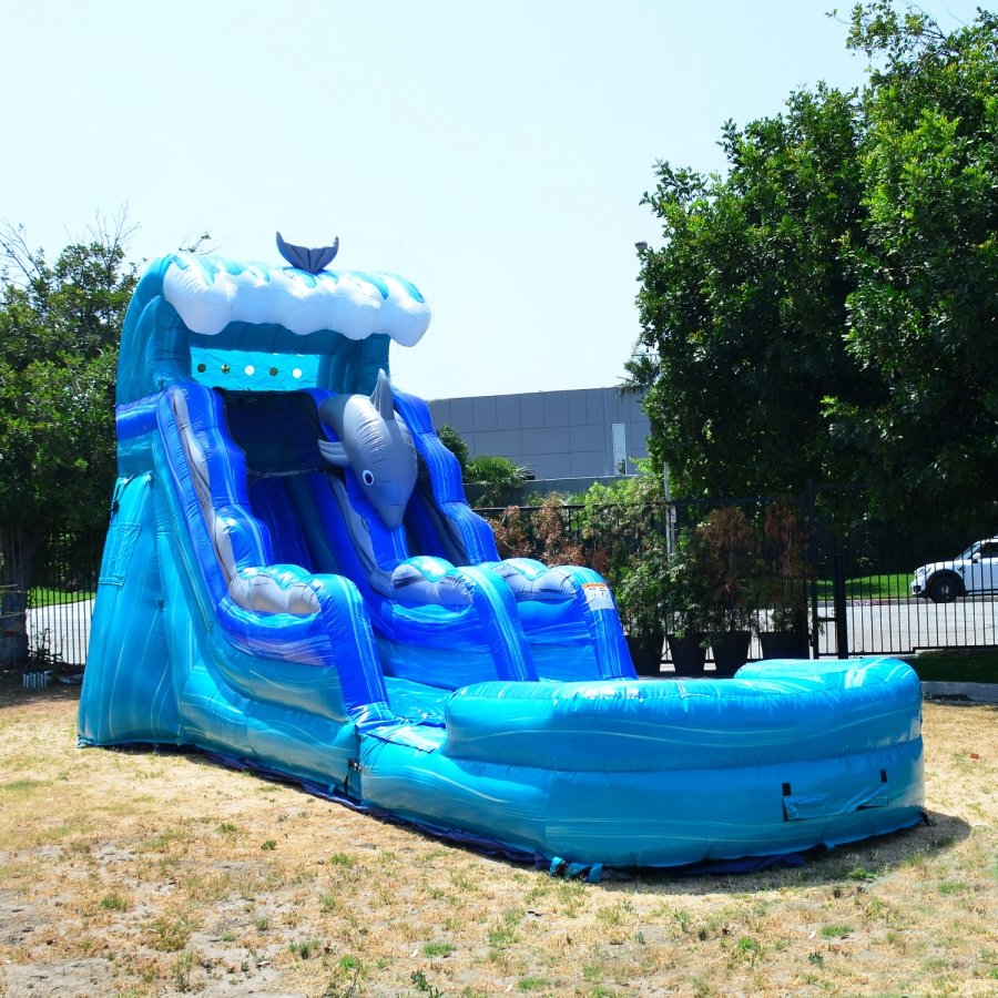 Inflatable Dry Slides – Leap'n Lizards Bounce Houses