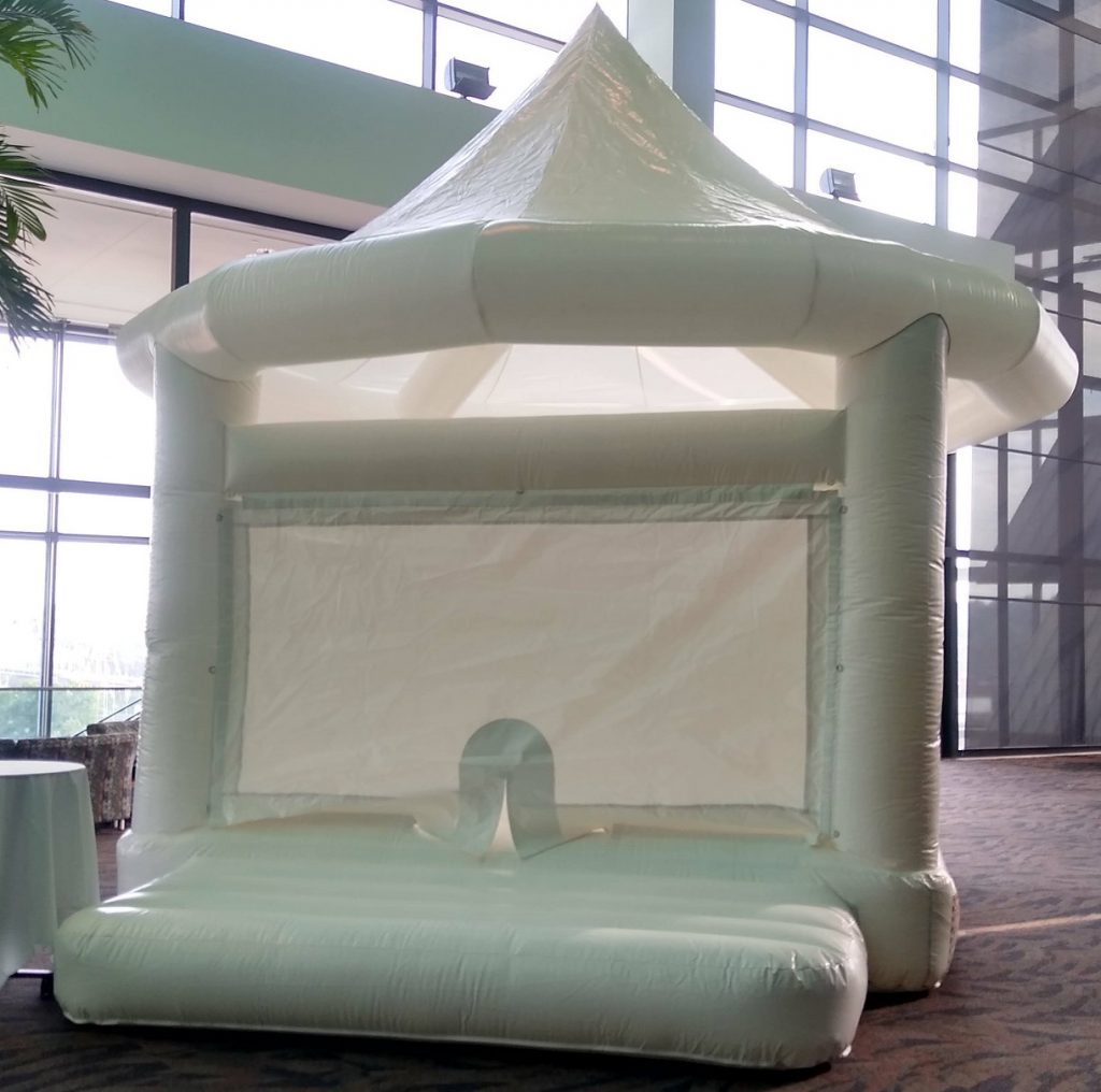 Leap'n Lizards Bounce Houses – Inflatable Rentals In Northern KY